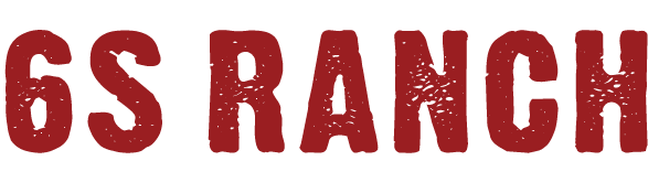 Texas Exotic Hunting — 6S River Ranch | Deer, Hog, Dove & Exotic Hunting