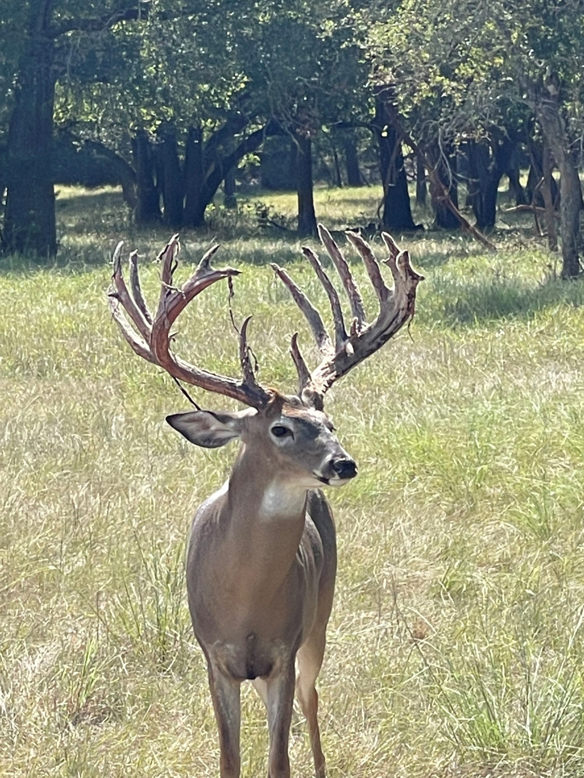 Moments at the ranch - 6S River Ranch
