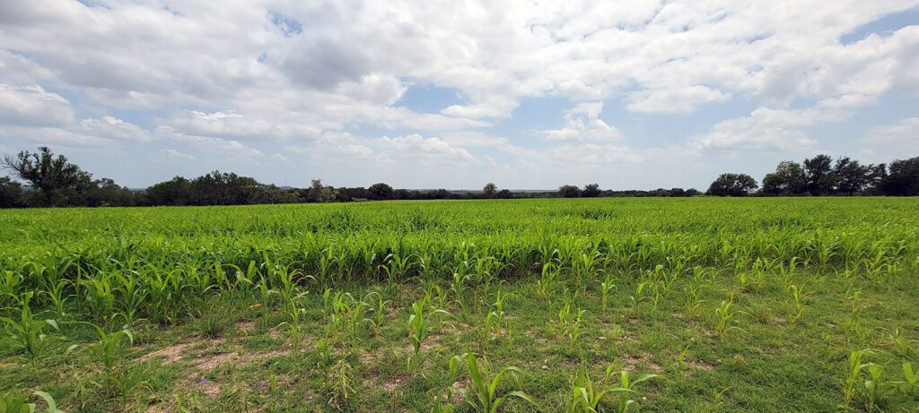 Moments at the ranch - 6S River Ranch